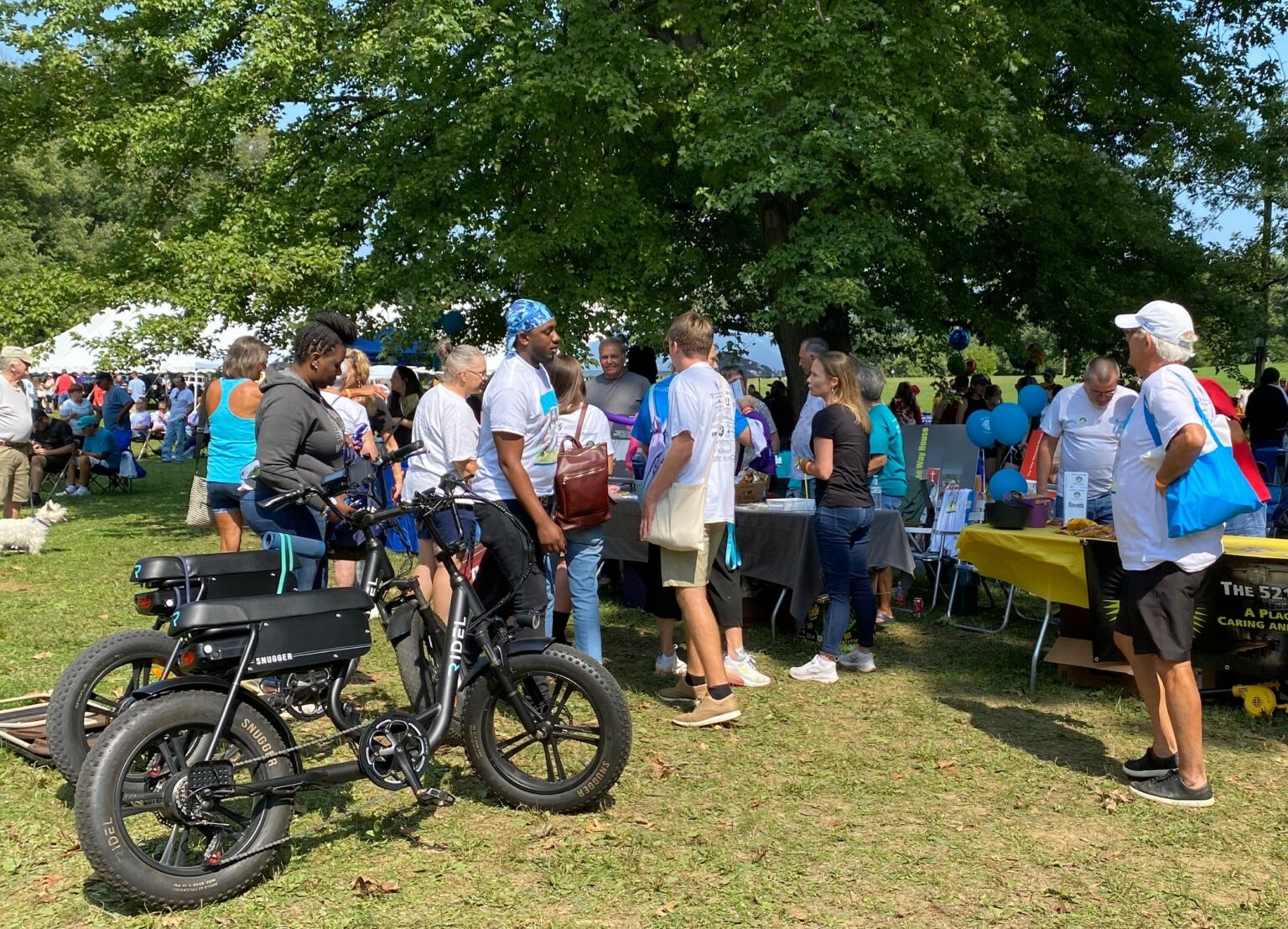 Recovery community celebrates in Buchanan Park (photos) - One United ...