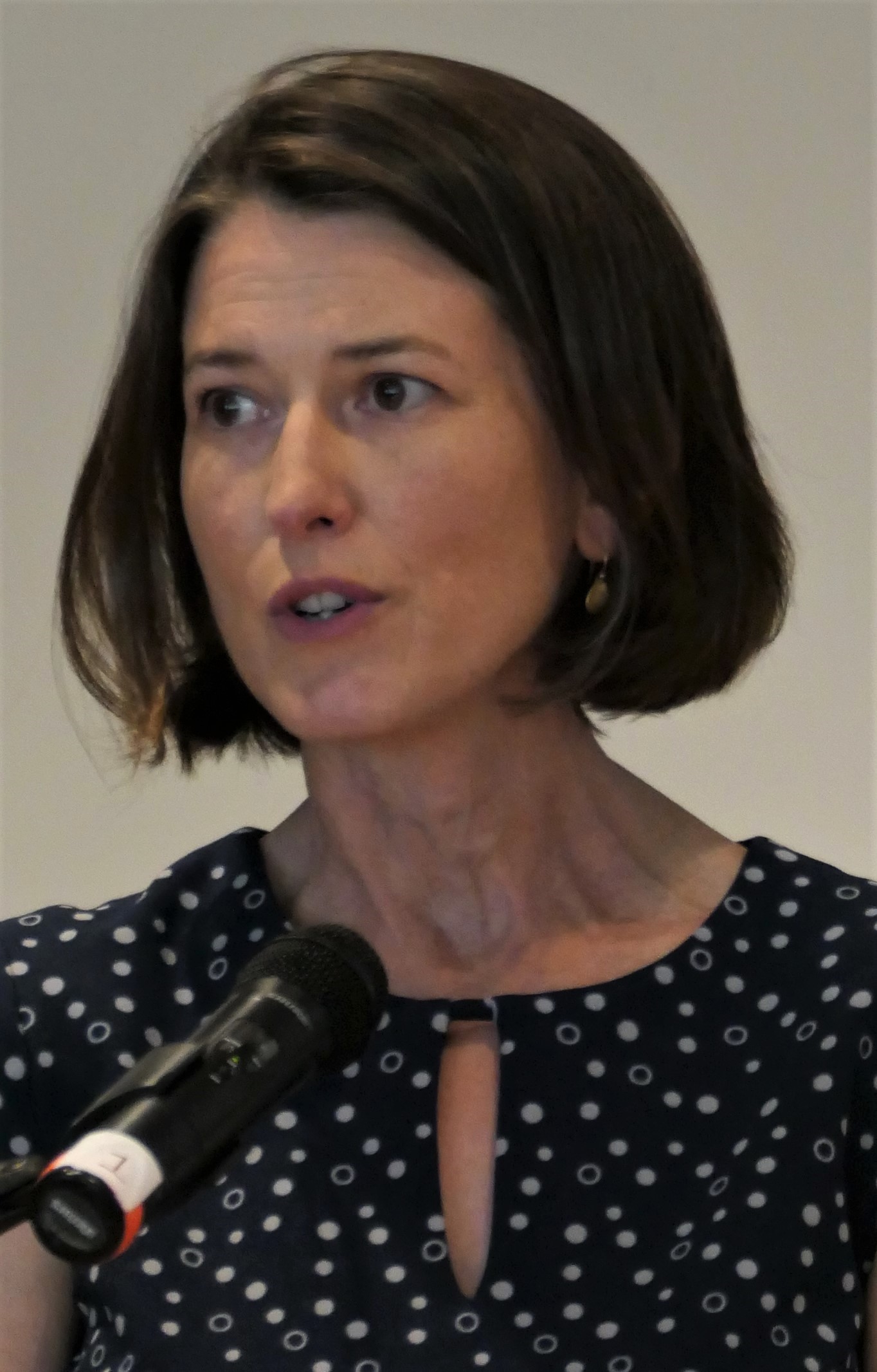 LancasterHistory eyes April 2025 debut for Thaddeus Stevens & Lydia ...