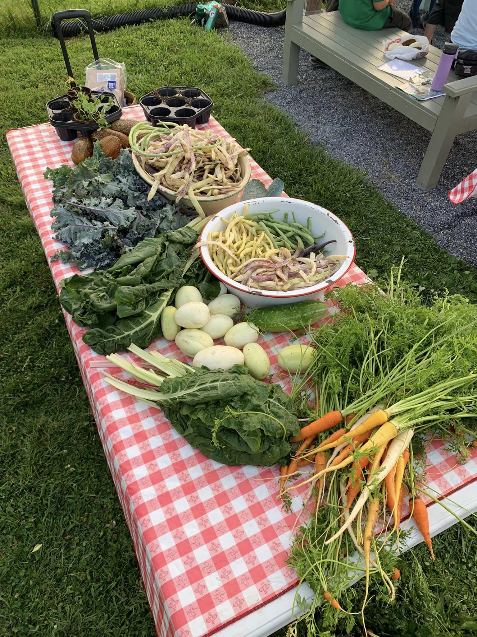 Level Up & Launch: The Edible Classroom (video) - One United Lancaster