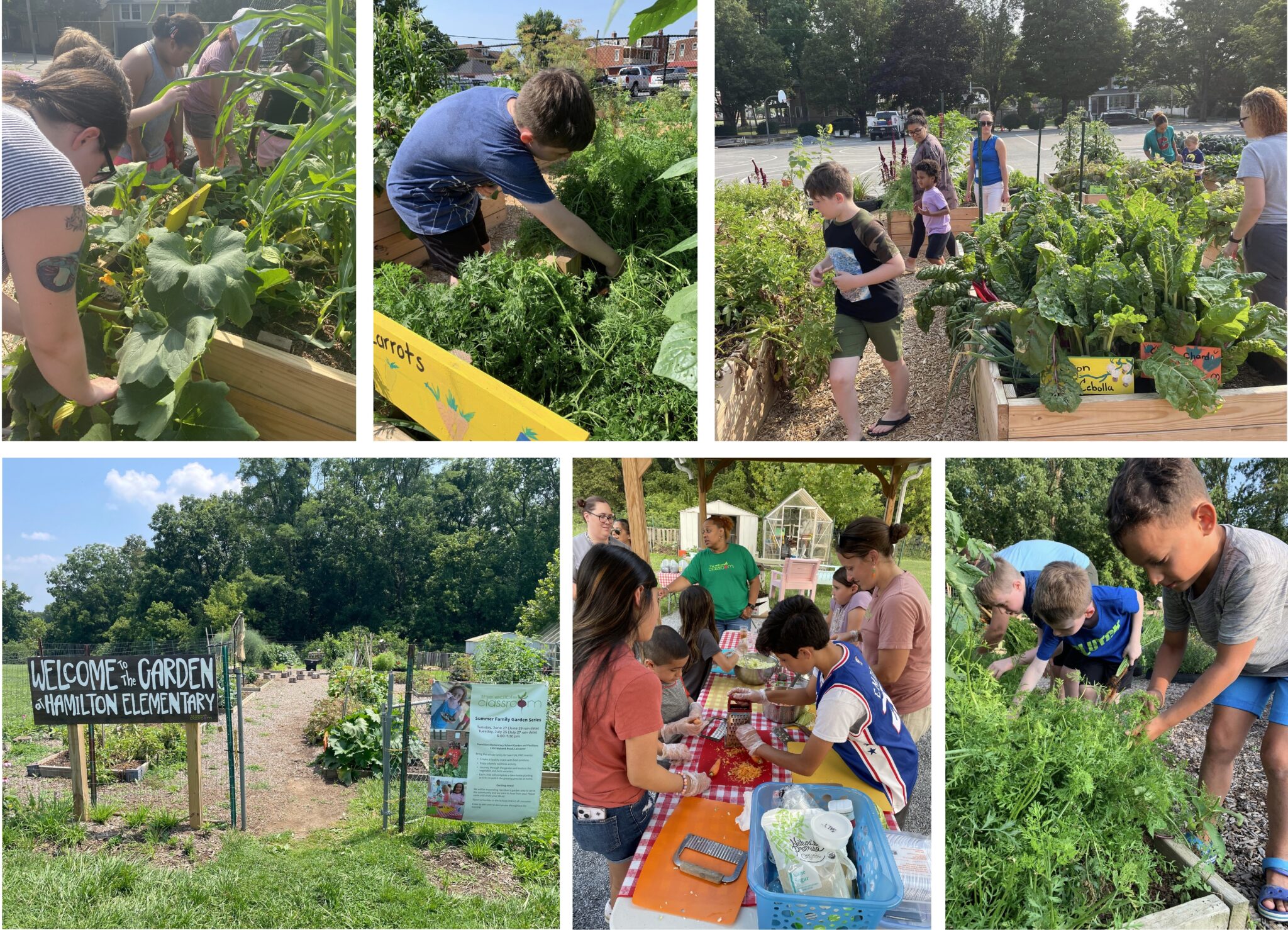 Level Up & Launch: The Edible Classroom (video) - One United Lancaster