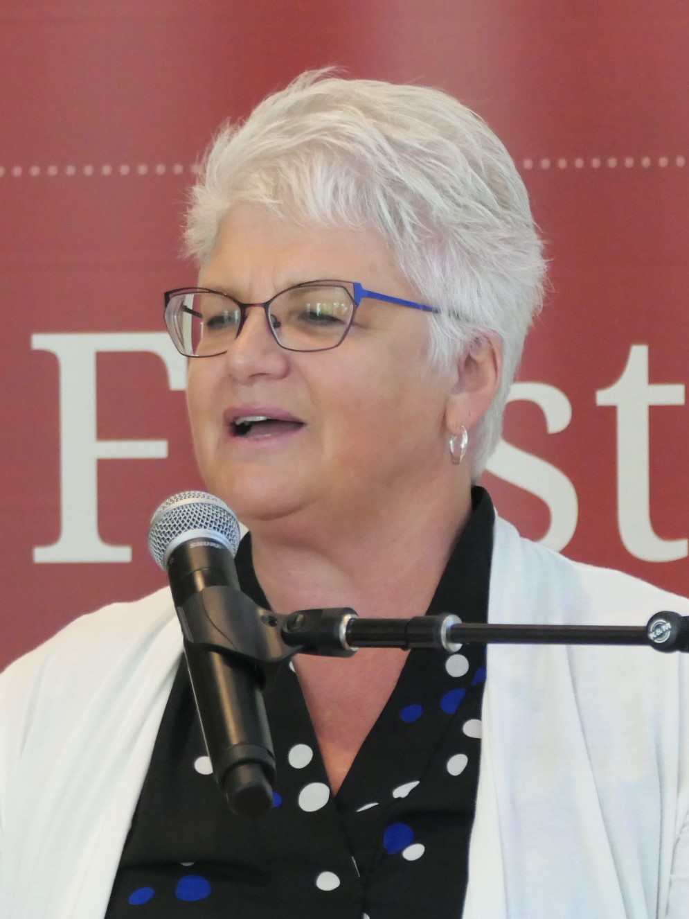 Homelessness system under-resourced, leaders tell Hourglass forum ...